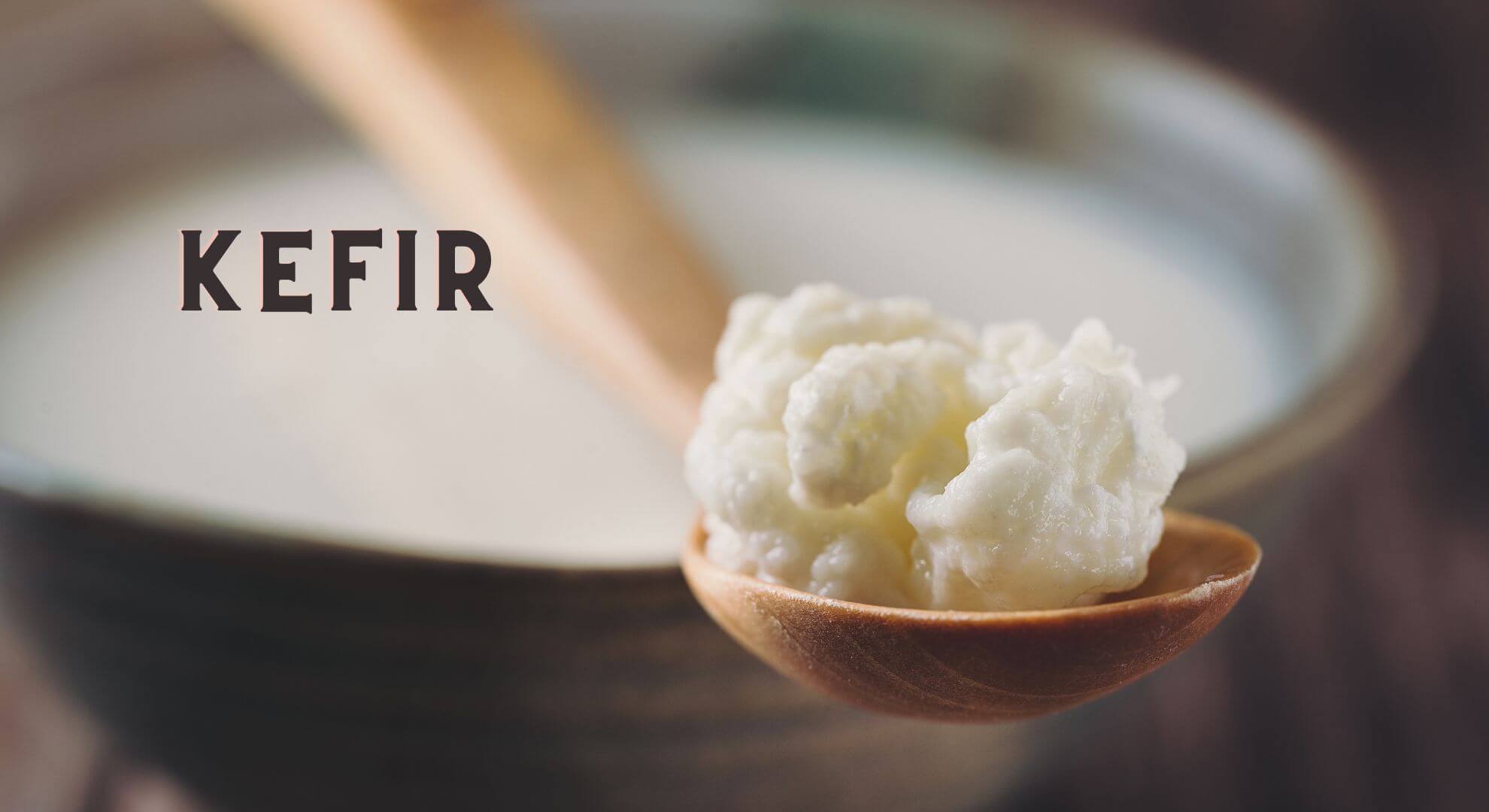 5 Quick Tips About Fermented Foods | Ensure Food